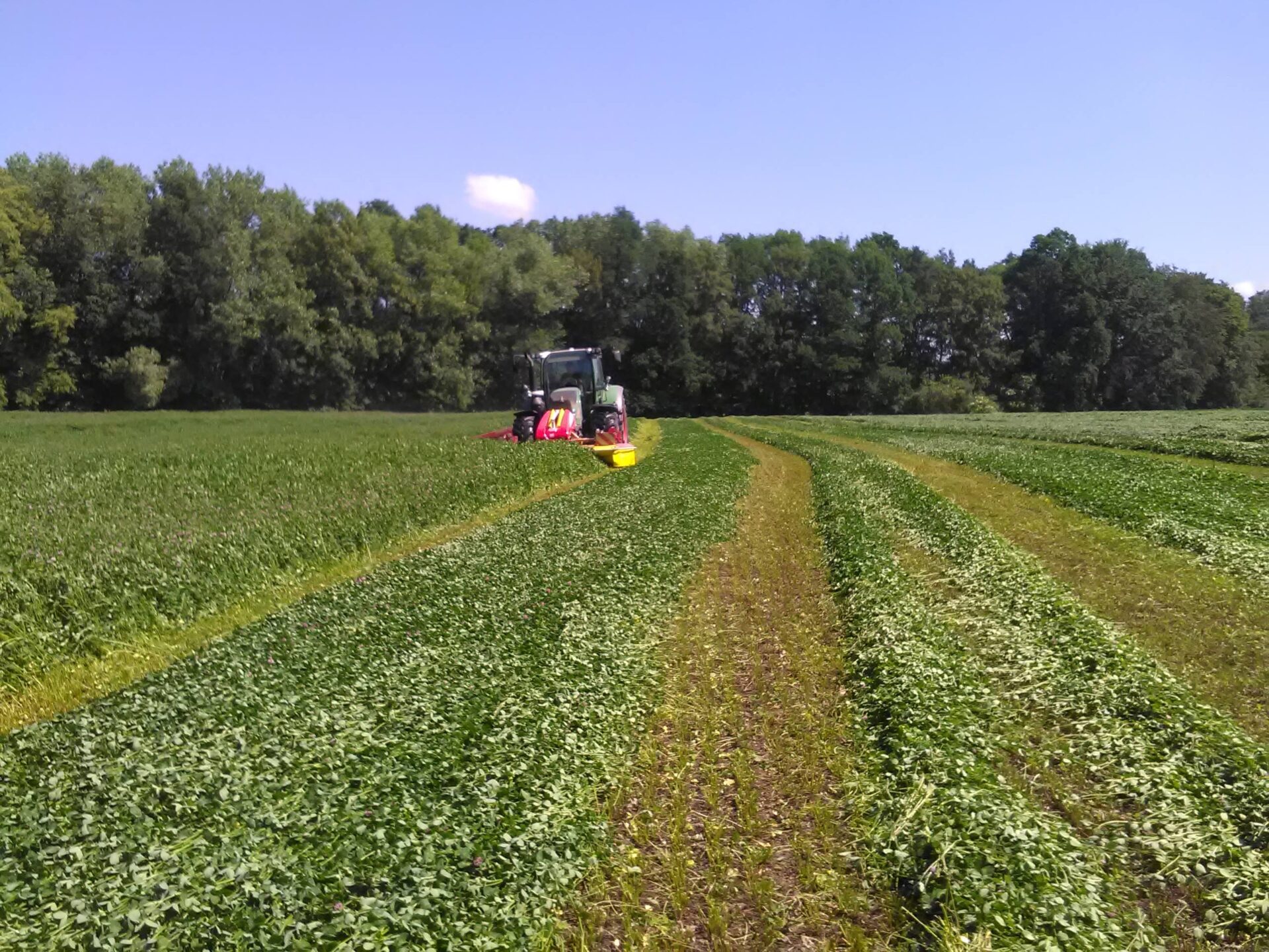 Energetické plodiny musí dostat šanci - trvaleudrzitelnezemedelstvi.cz