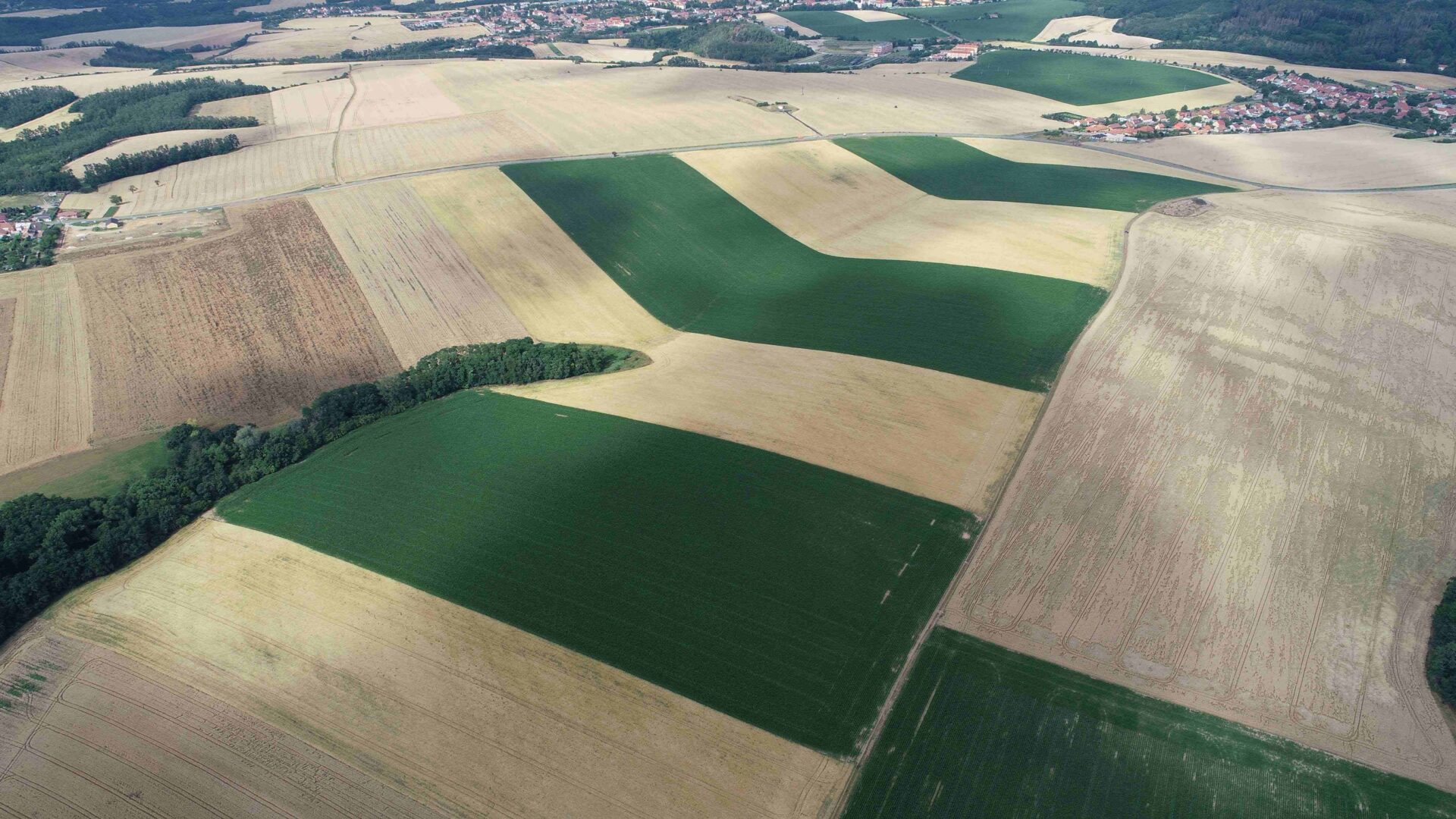 Energetické plodiny musí dostat šanci - trvaleudrzitelnezemedelstvi.cz